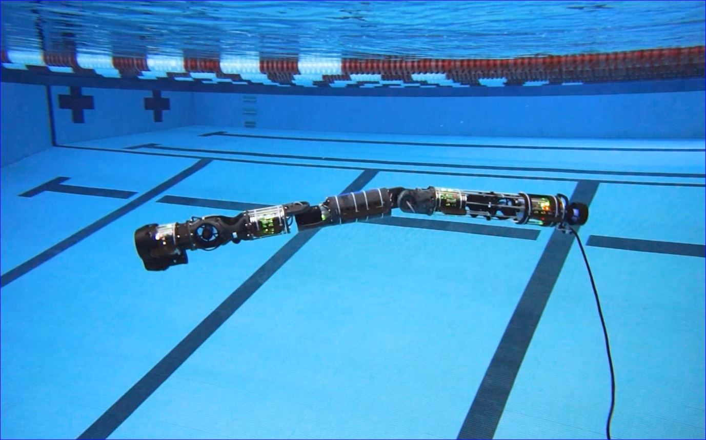 Environmentally Hardened Underwater Modular Robot Snake - ARM Institute