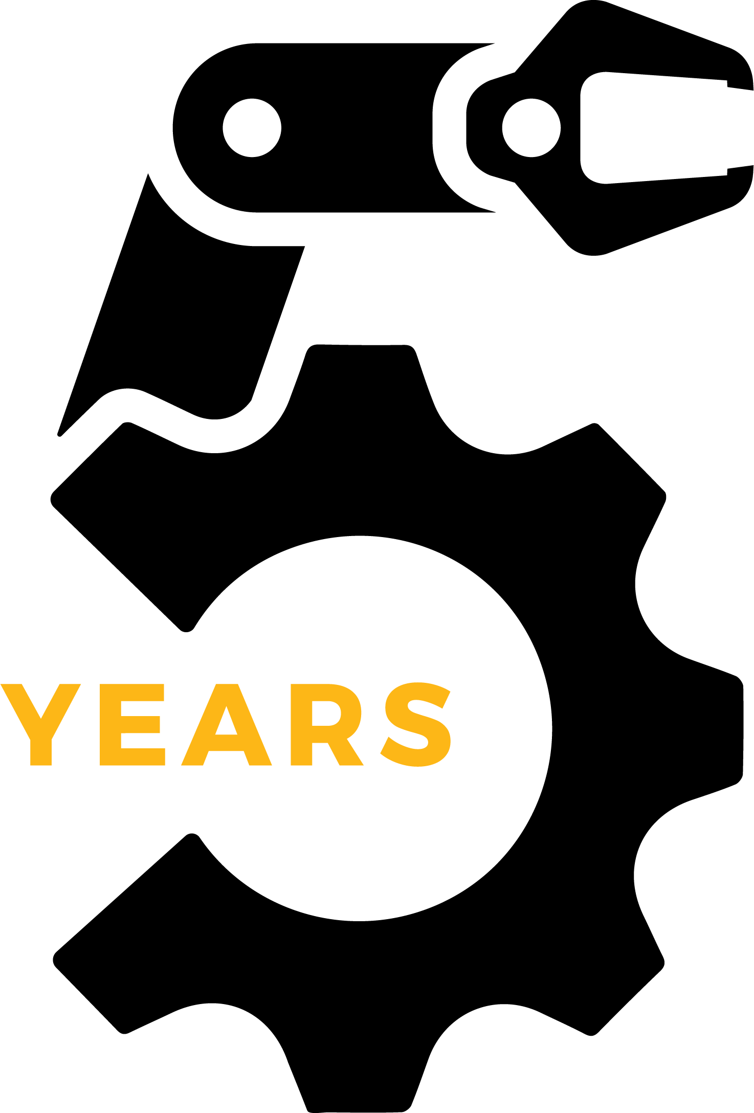 The ARM Institute Throughout Its Five Years - ARM Institute