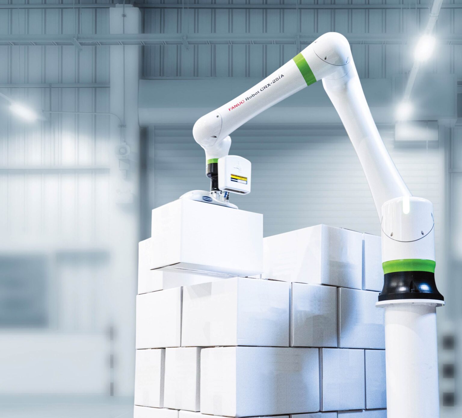 Five Questions with Laura Evans - ARM Institute